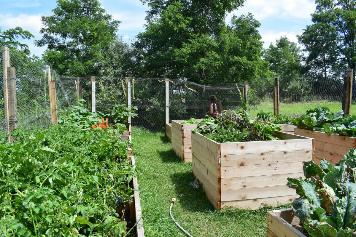 Community Garden Program - One Village, One Vision